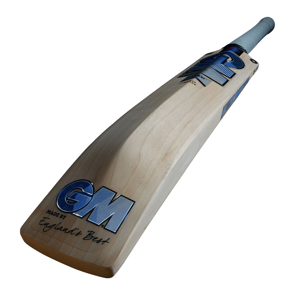 GM Aion Limited Edition Cricket Bat | MR Cricket Hockey